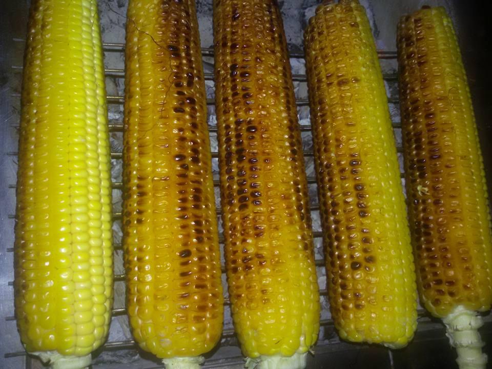 FİLİNTA CAFE - İzmit / Kocaeli - 0 (545) 367 41 ** | Birmilyonnokta