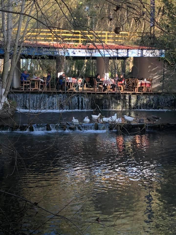 Şelale Kır Lokantası - Tekirdağ / Merkez - 0 (533) 793 62 ...